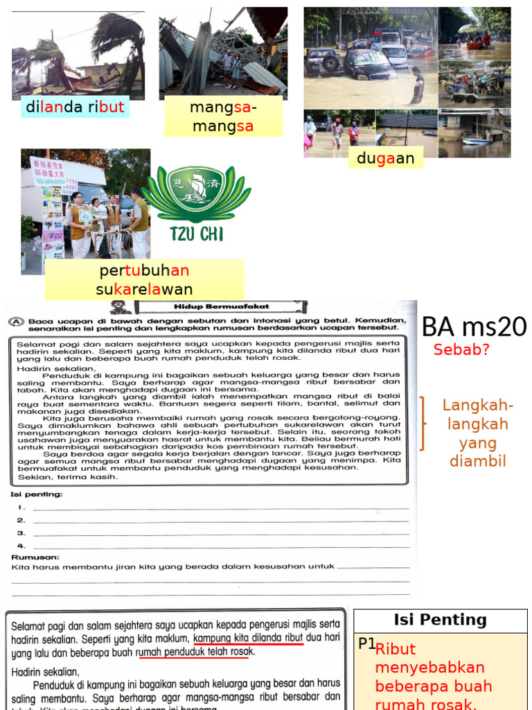 BMT5 U5 Ba20 | PDF