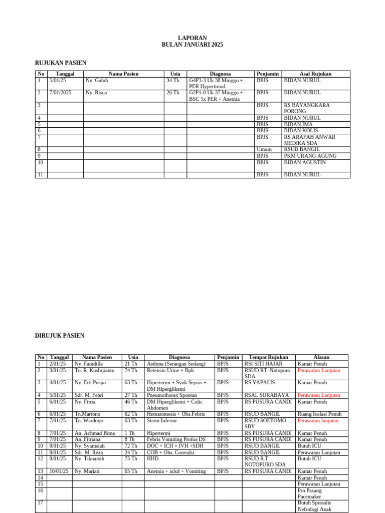 Laporan Januari 2025 RSDS | PDF