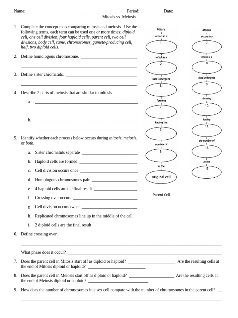 Mitosis vs. Meiosis: Key Comparisons | PDF | Meiosis | Mitosis