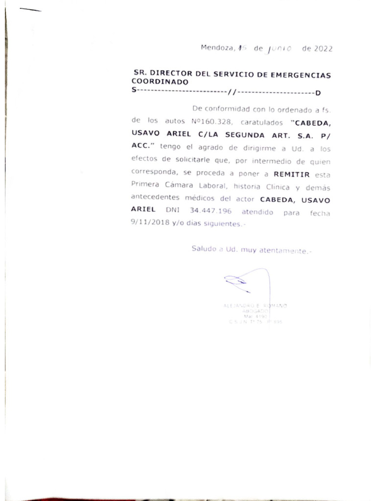 Documento de Fernando de Luca | PDF