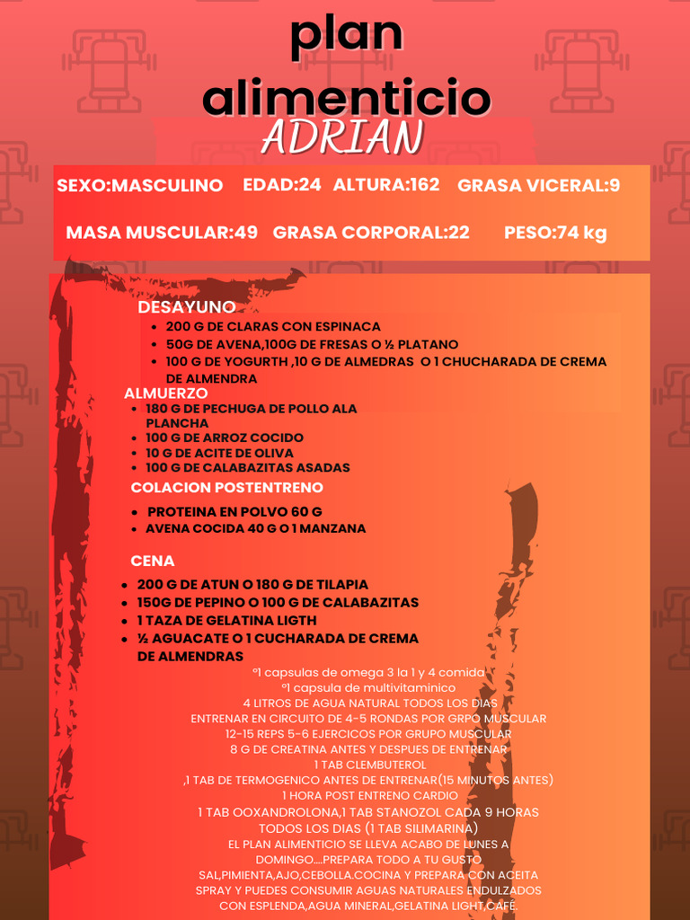 Plan Alimenticio Adrian 040425 PDF | PDF