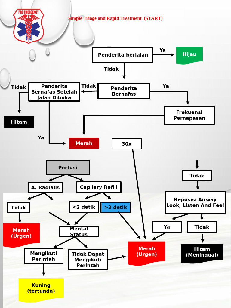 Simple Triage Pro Emergency Salinan | PDF