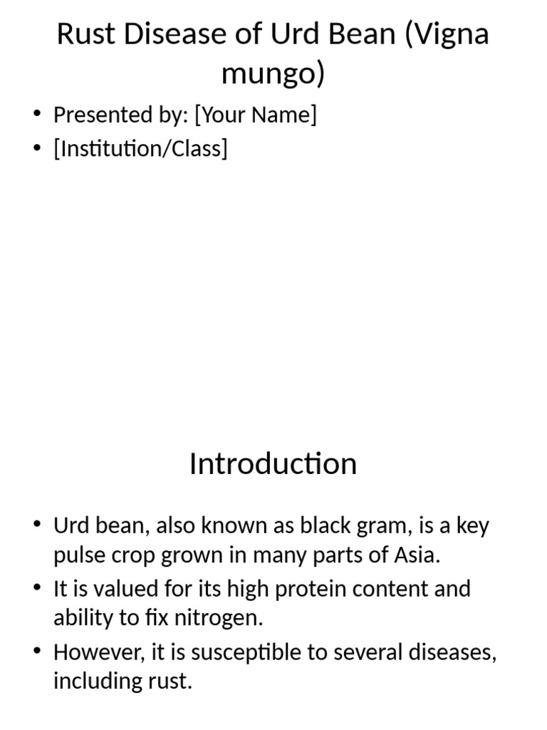 Rust Disease of Urd Bean Presentation | PDF