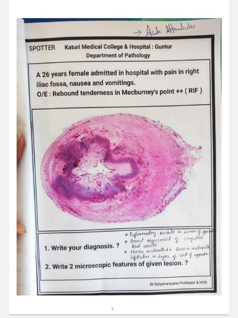 PATHOLOGY Slides (Spotters) | PDF