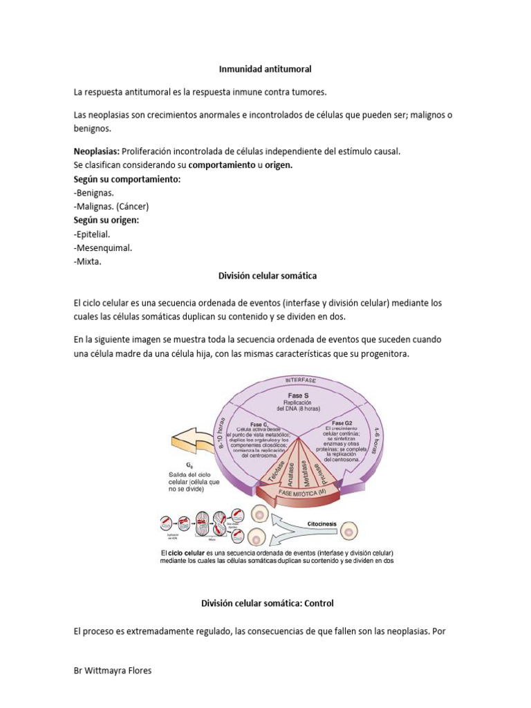 Inmunidad antitumoral-1 | PDF | Ciclo celular | Metástasis