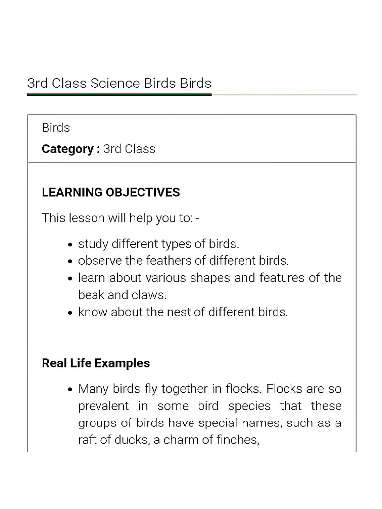 Birds Our Feather Friends | PDF