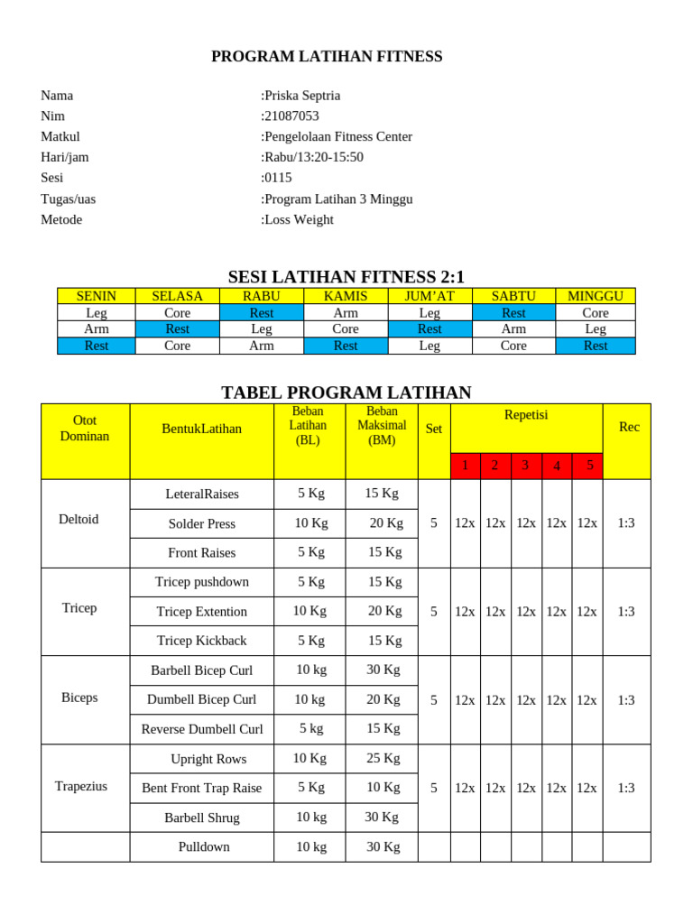 Program Latihan Fitness Priska Septria | PDF | Management Of Obesity ...