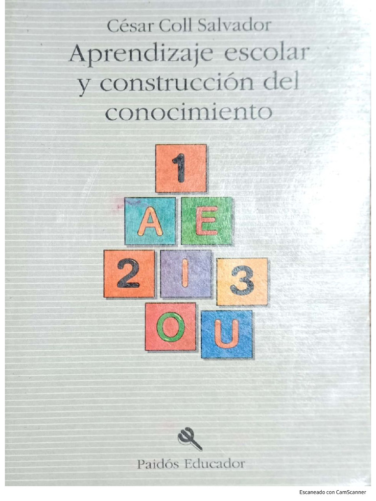 Coll Cesar Cap 9 Significado y Sentido en El Aprendizaje Escolar. Reflexiones en Torno Al ...