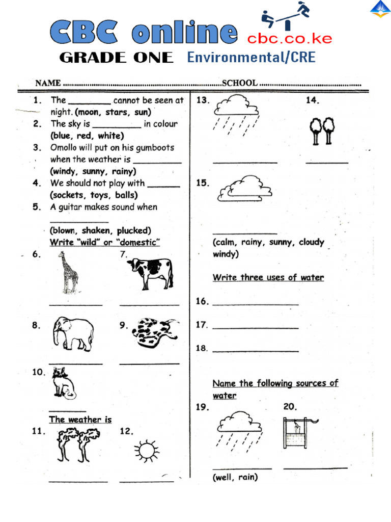 Environmental Grade One | PDF