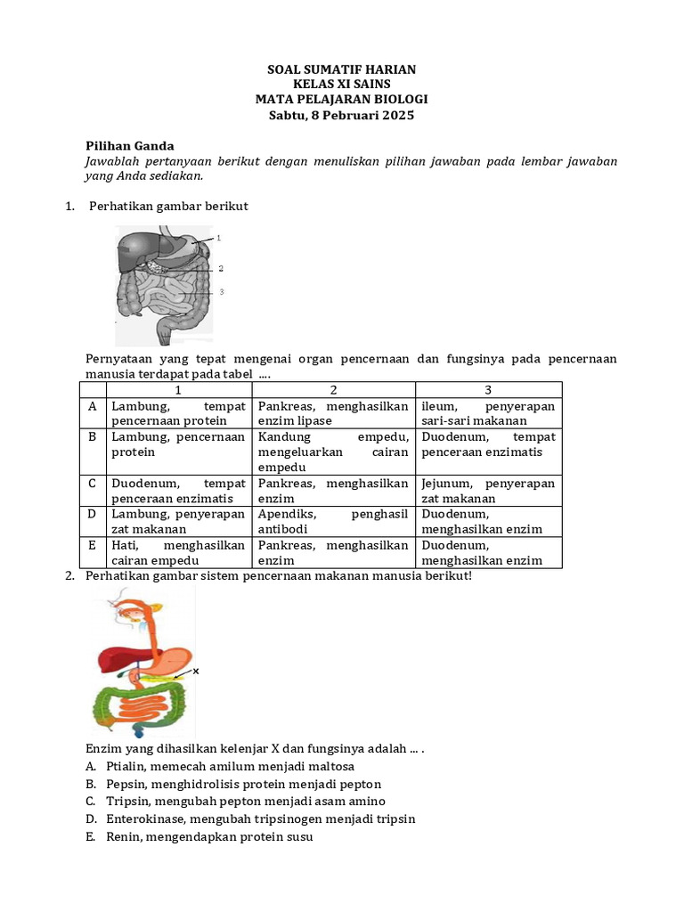 Soal Ulangan Harian_Sistem Pencernaan & Pernapasan | PDF