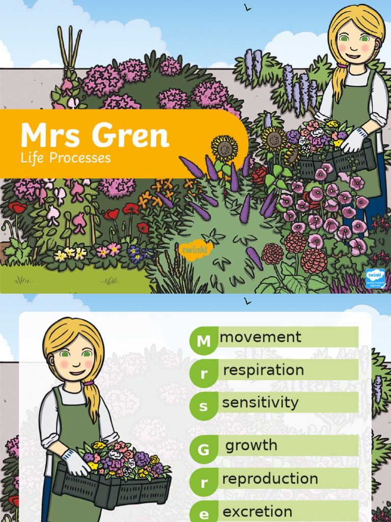 Understanding Mrs. Gren Principles | PDF