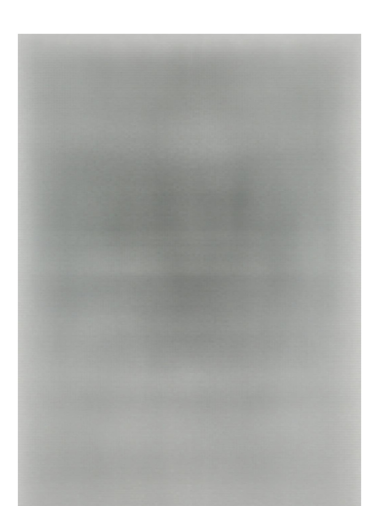 Demo Handwriting Style Assignment | PDF