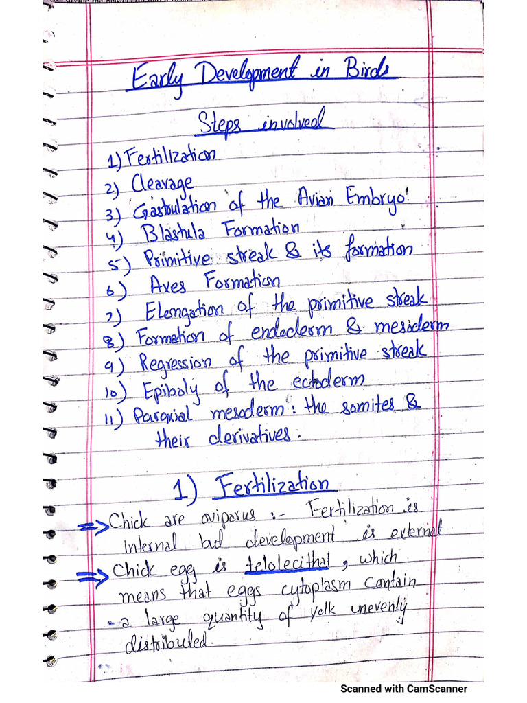 (Chap7) Avian Development | PDF