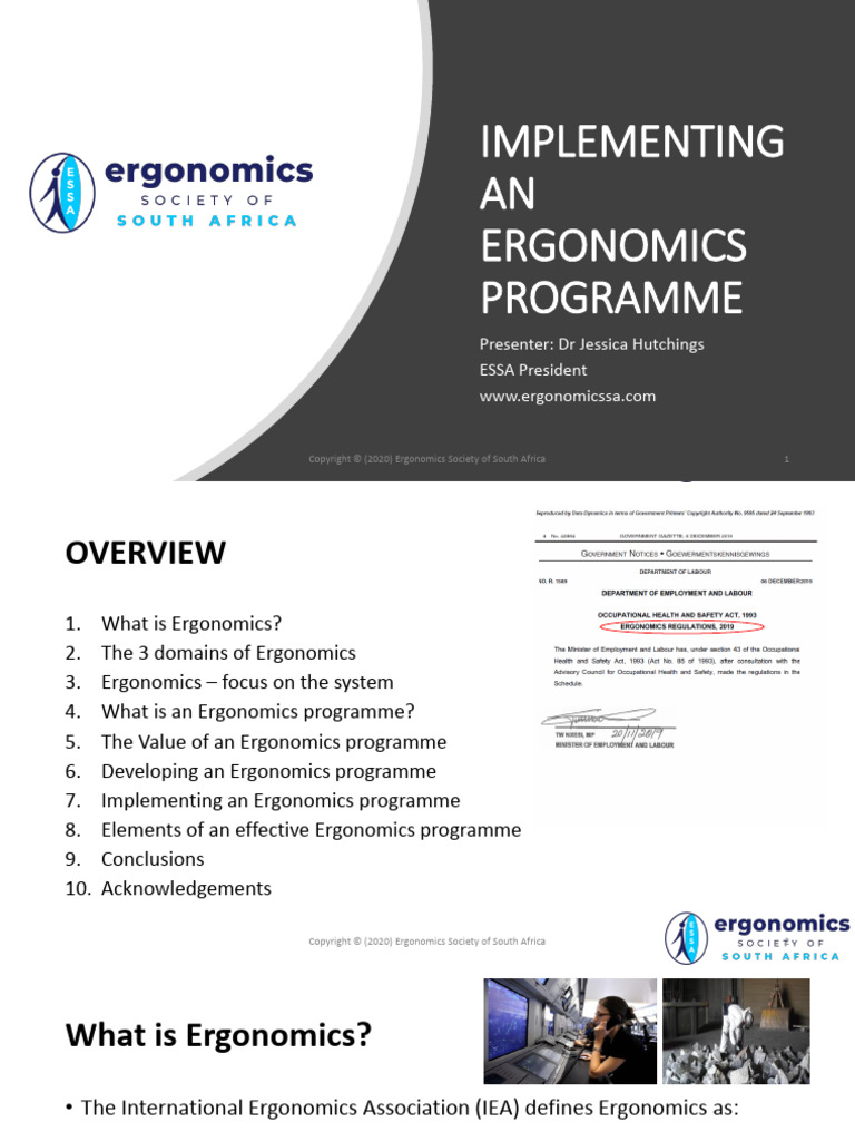 Implementing An Ergonomics Programme by DR J Hutchings | PDF | Risk | Business