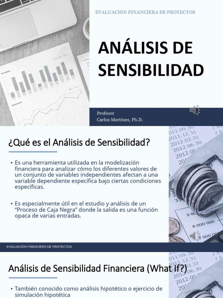 040 An-lisis-de-Sensibilidad-Corregido | PDF | Análisis de sensibilidad | Variable (Matemáticas)