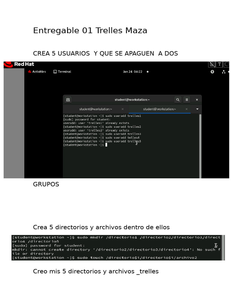 Entregable 01 Trelles Maza | PDF