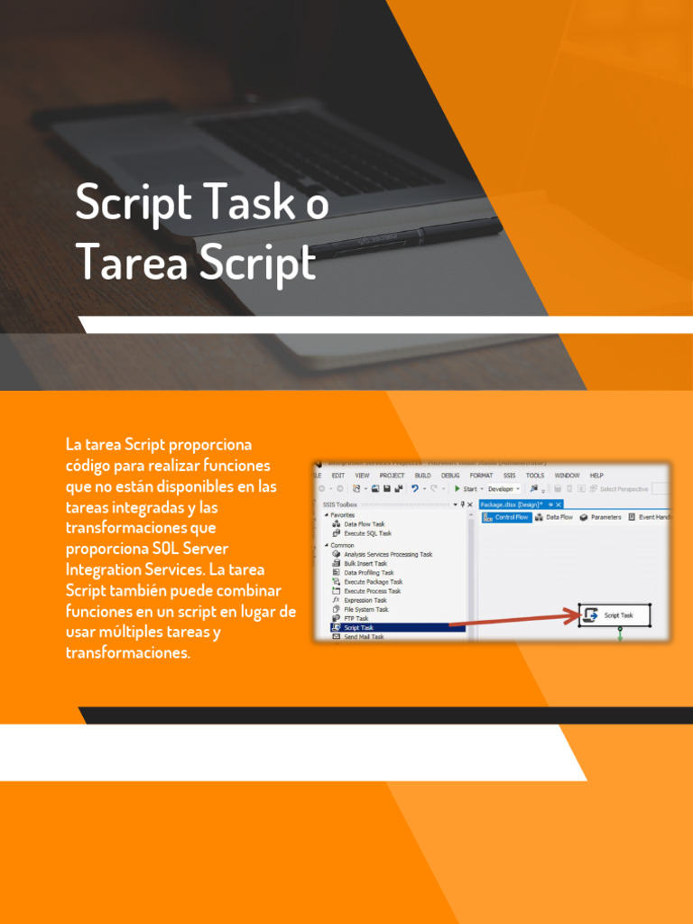 009 8.Script-Task-o-Tarea-Script | PDF