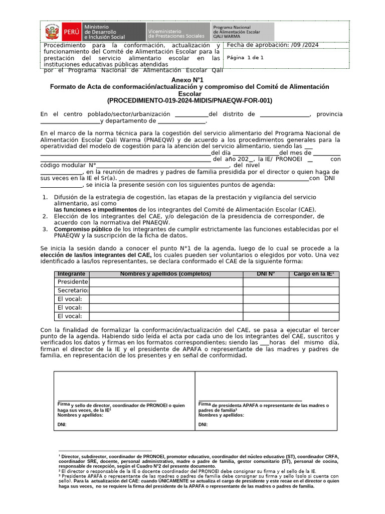 Formato Conformacion Cae 2025 | PDF