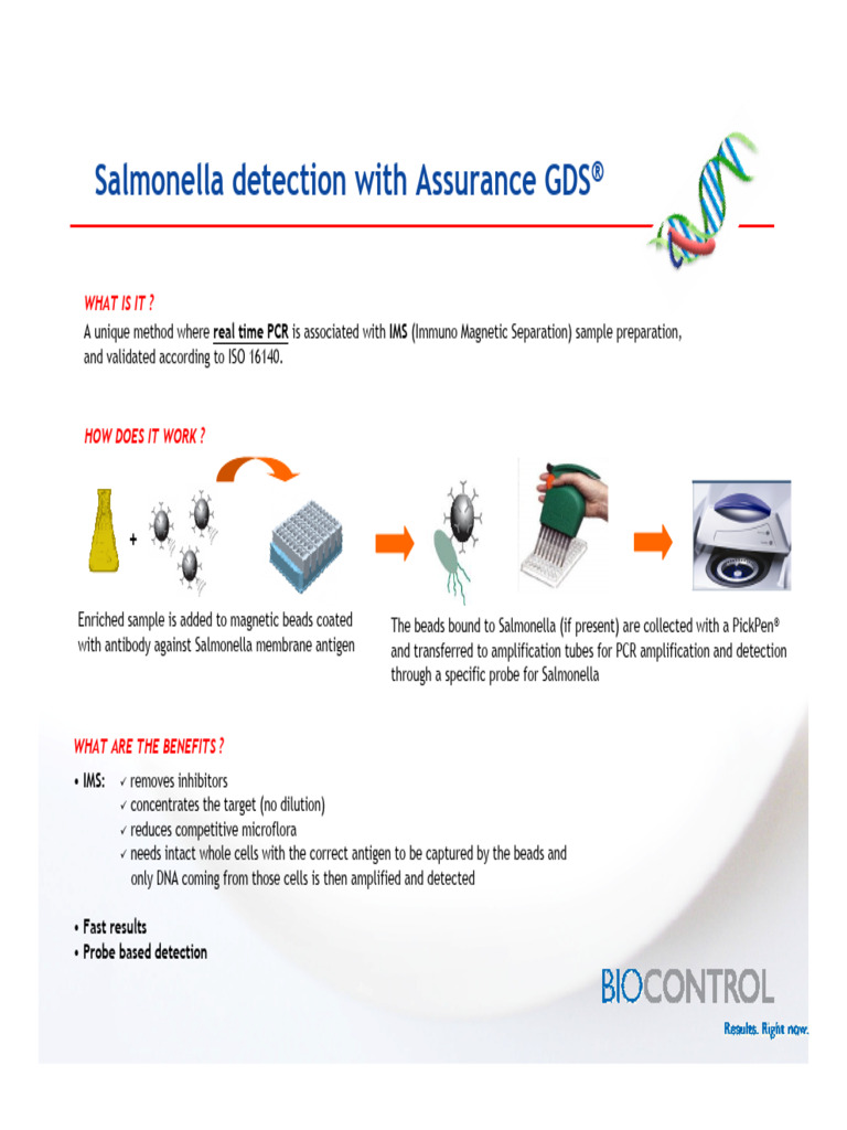2013 Ass GDS Flow Chart | PDF