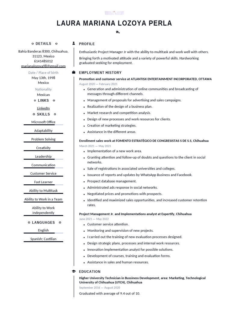 Laura Mariana Lozoya Perla - Project Manager JR | PDF | Advertising ...