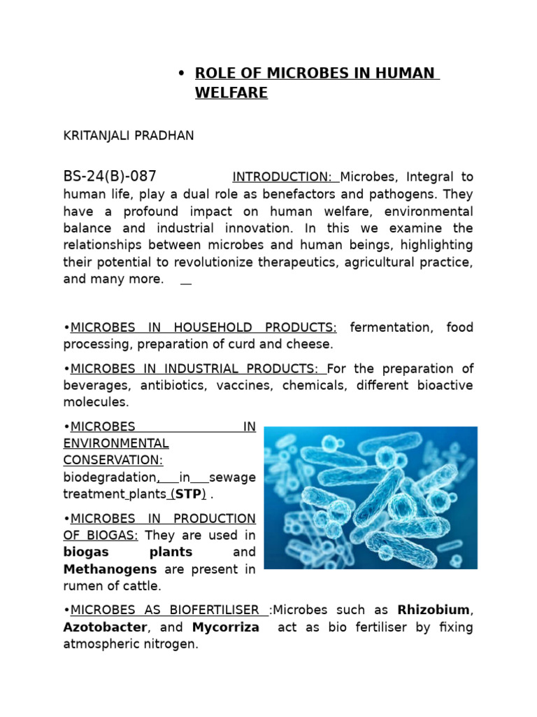 Role of Microbes in Human Welfare | PDF