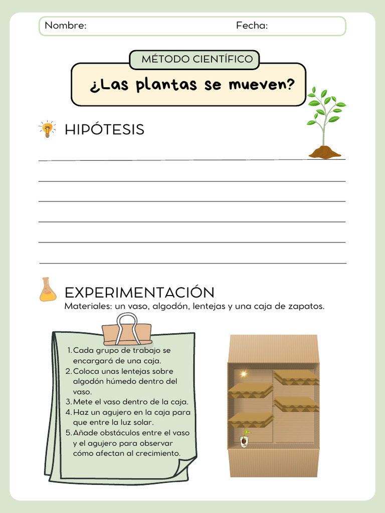 Hoja de Trabajo de Experimento Científico de Plantas para Niños ...