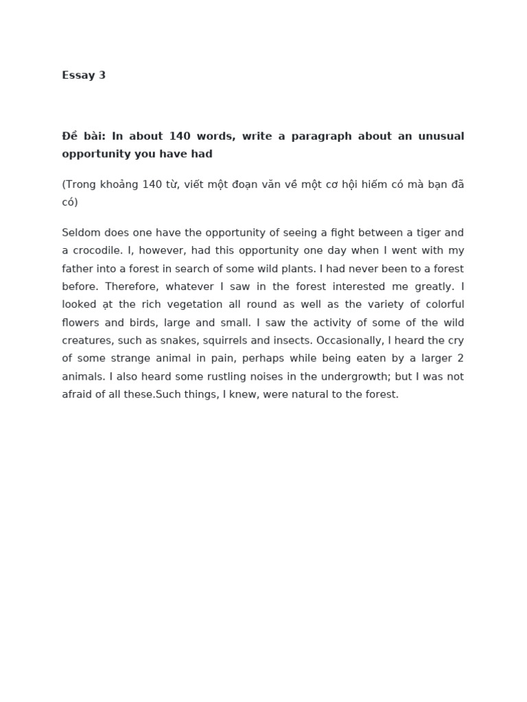 Essay 3 | PDF