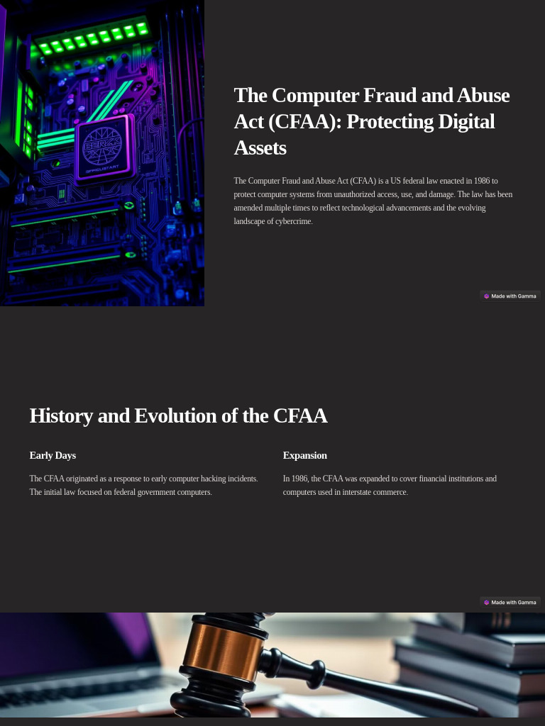The Computer Fraud and Abuse Act CFAA Protecting Digital Assets | PDF ...