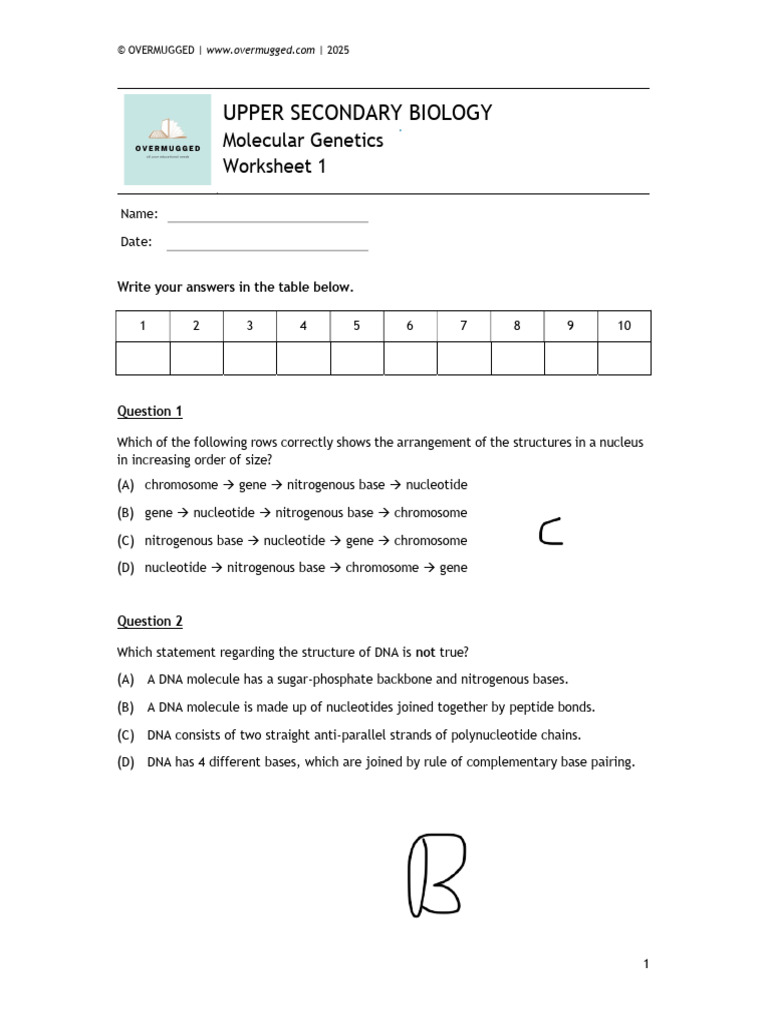 Molecular Genetics Worksheet for Students | PDF | Dna | Nucleic Acid ...
