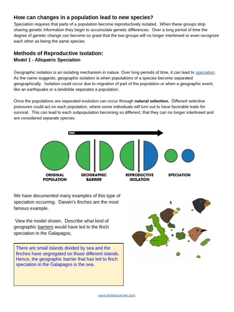 Copy of 011 Modes of Speciation | PDF | Reproduction | Biological Concepts