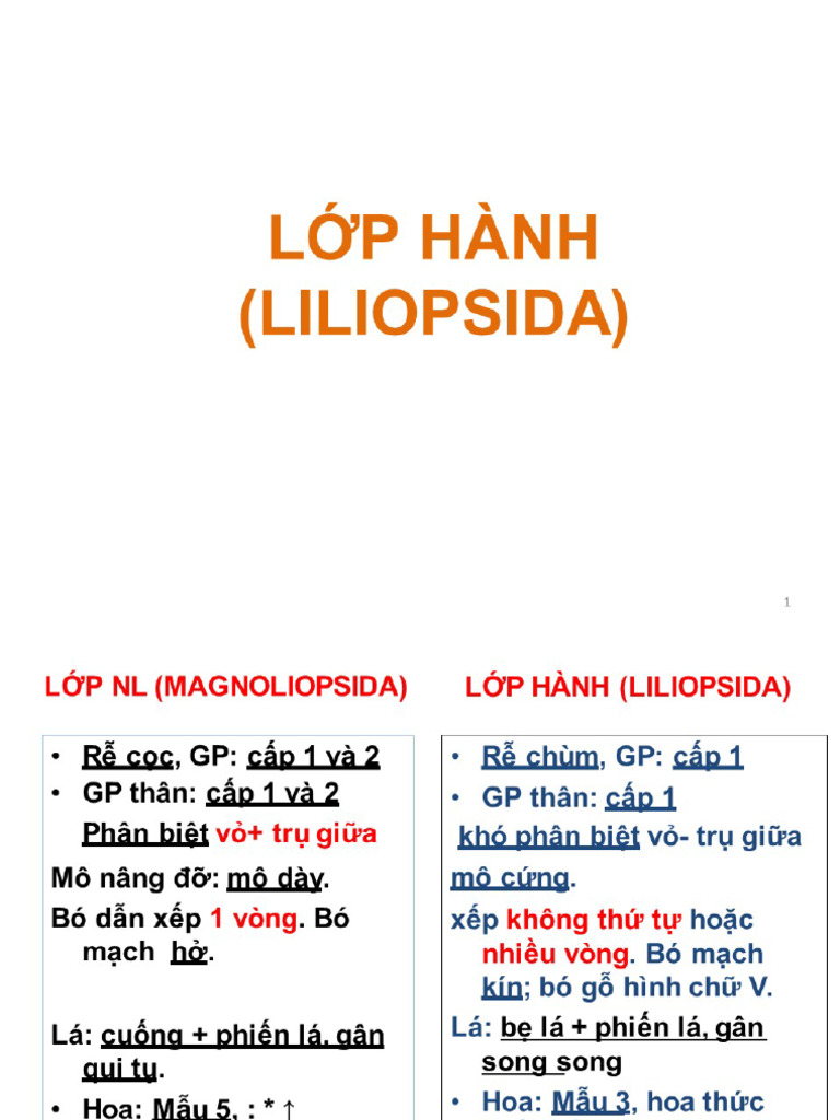 PL HANH 36-43 Handouts 2025 | PDF