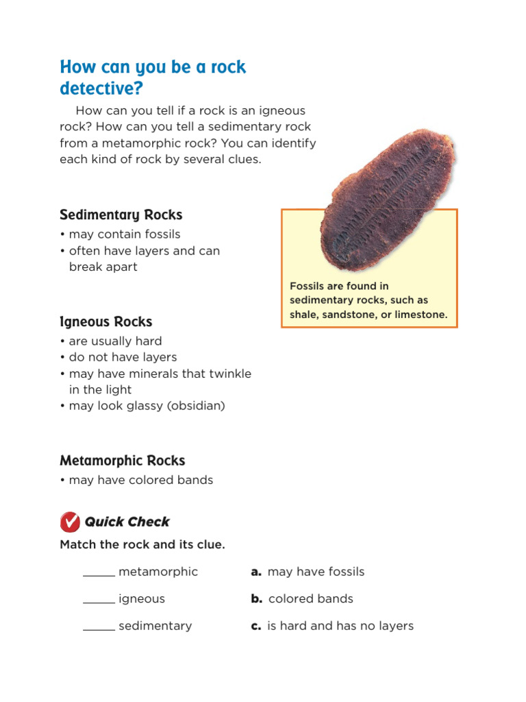 G4 How To Be A Rock Detective | PDF