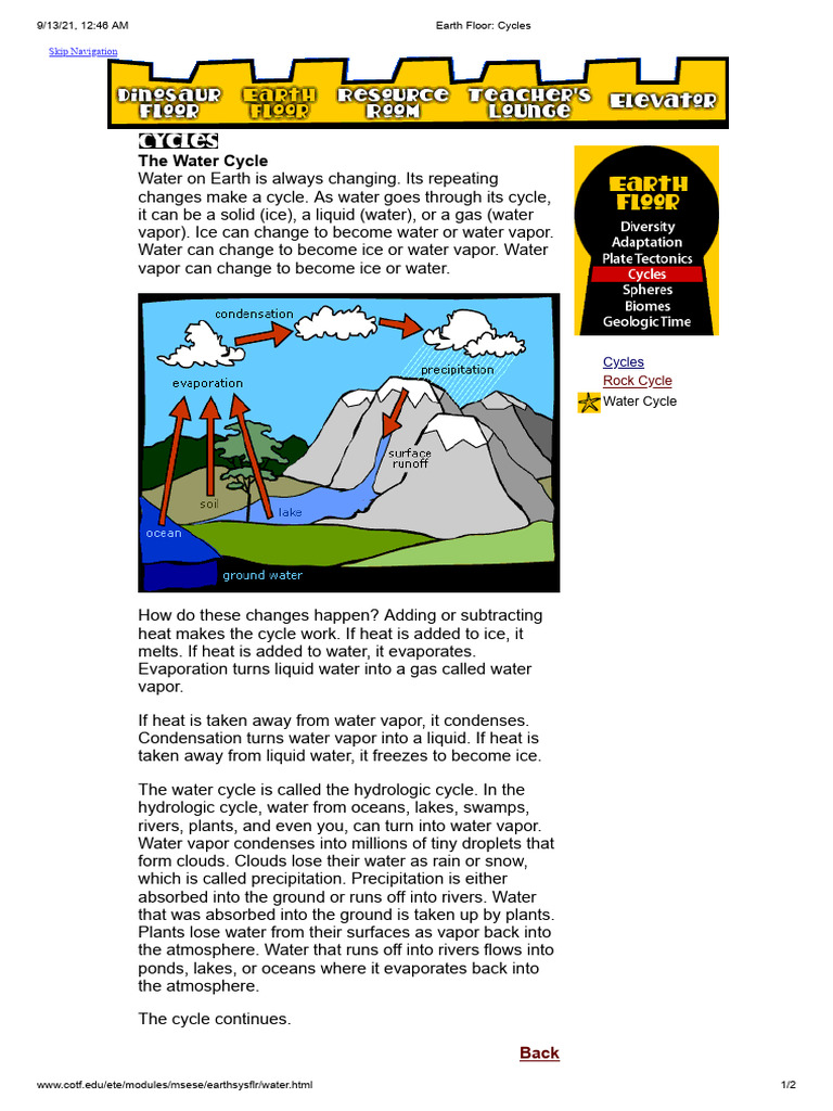 Earth Floor - Cycles-Water Cycle | PDF | Water | Water Cycle