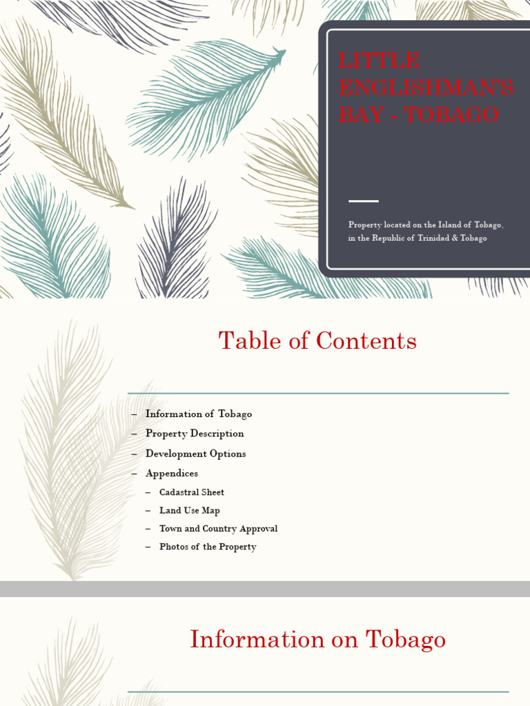 Little Englishman's Bay - Tobago Presentation | PDF | Tobago | Earth ...