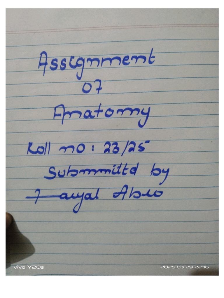 ANOTOMY ASSIGNMENT 3 | PDF