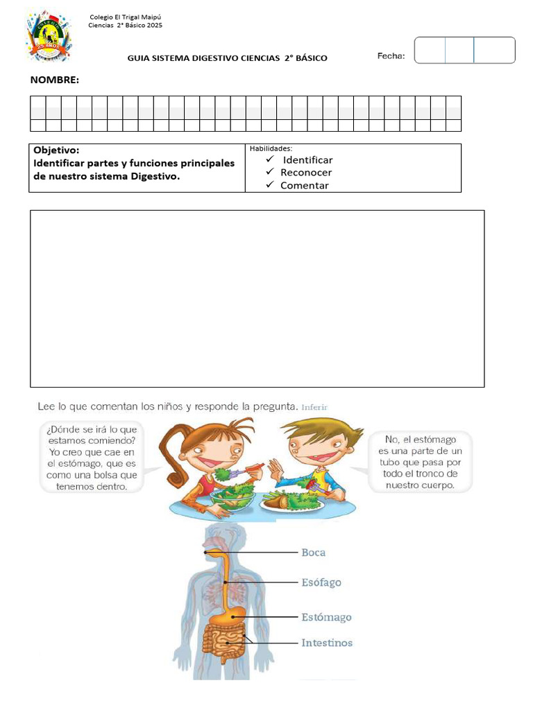 Guía del Sistema Digestivo 2° Básico | PDF
