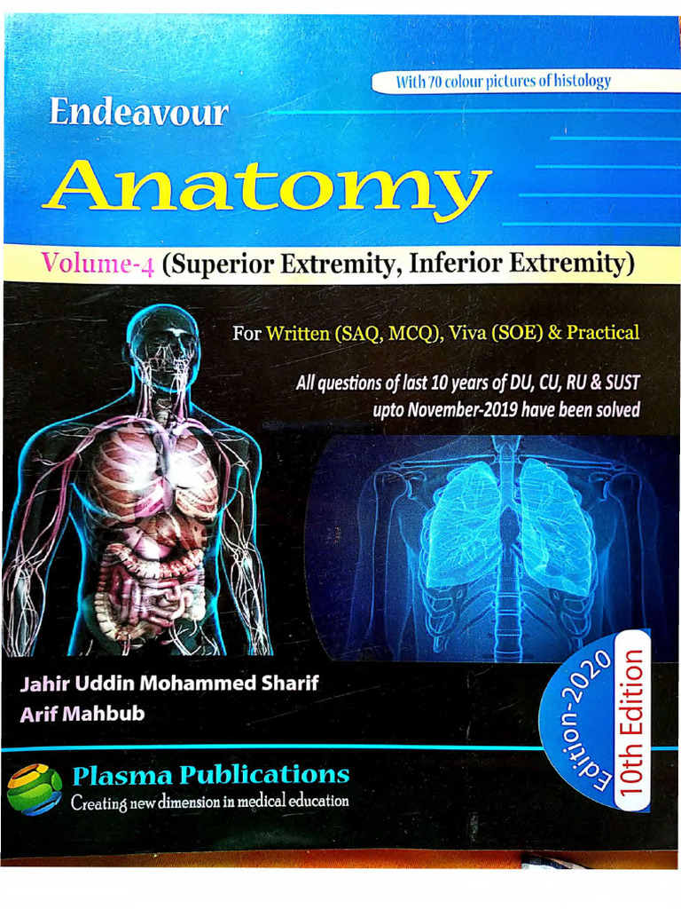 Endeavour, Superior Extremity | PDF | Arm | Elbow