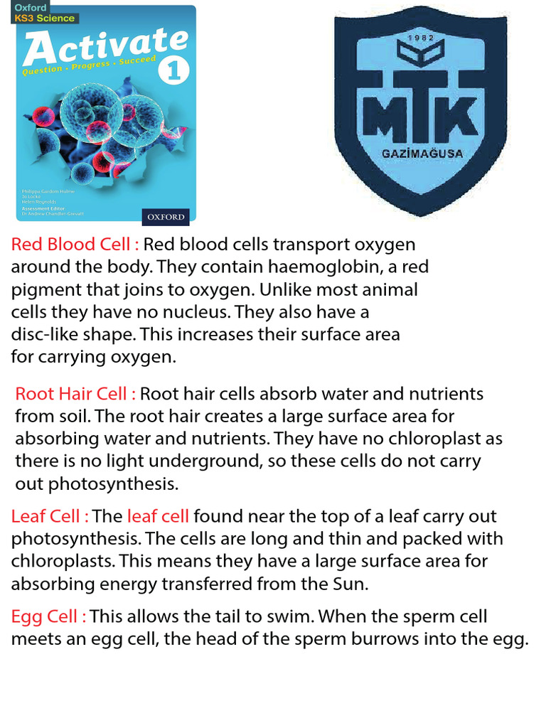 Science Science 2 Merged | PDF