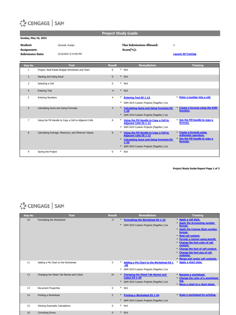 Excel Module 1 Project Study Guide | PDF | Worksheet