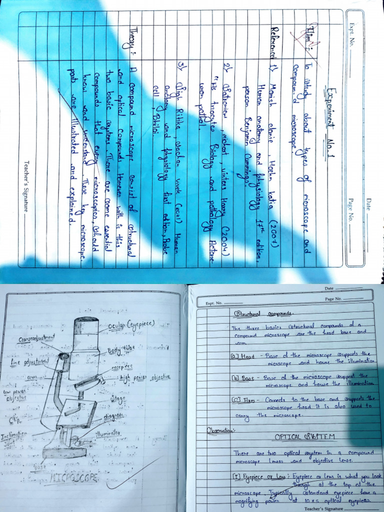 HAP ASSIGNMENT 1 TO 7 BY RAJEEV BHAI | PDF