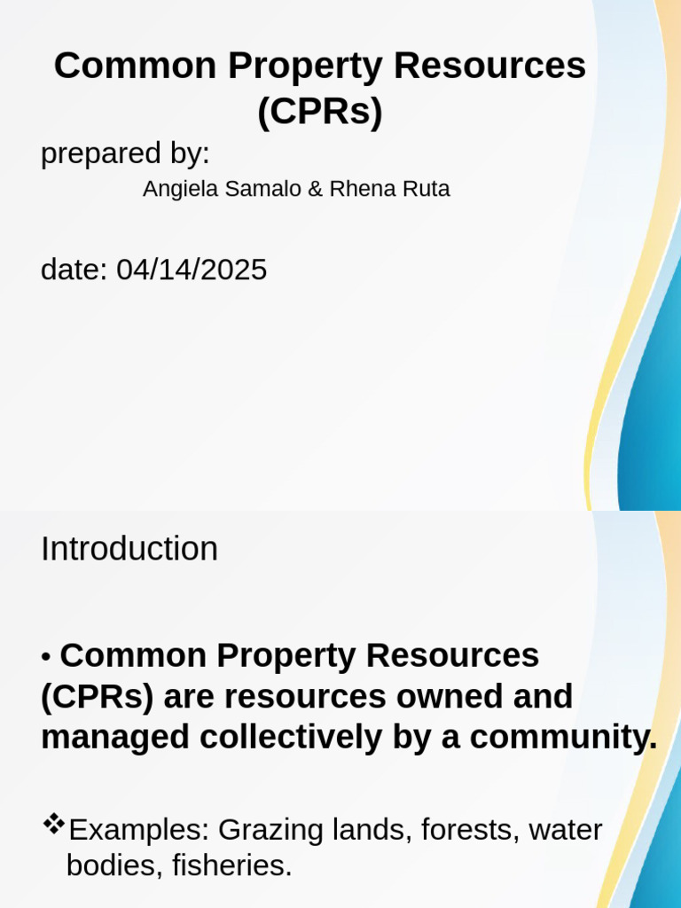 Understanding Common Property Resources | PDF