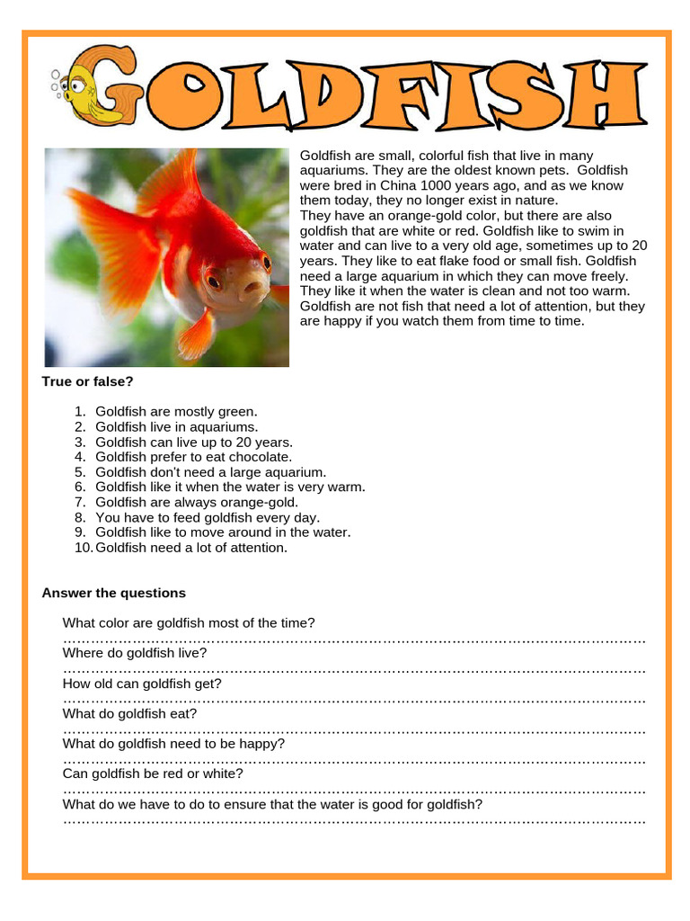 Easy Reading Goldfish - 161987 | PDF | Fish | Fish And Humans
