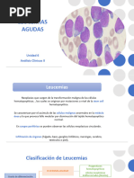 Leucemia Mieloblástica Aguda | PDF | Leucemia | Especialidades Medicas
