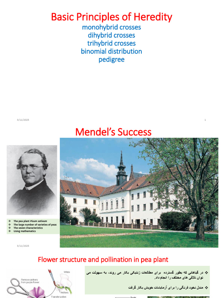 Basic Principles of Heredity | PDF