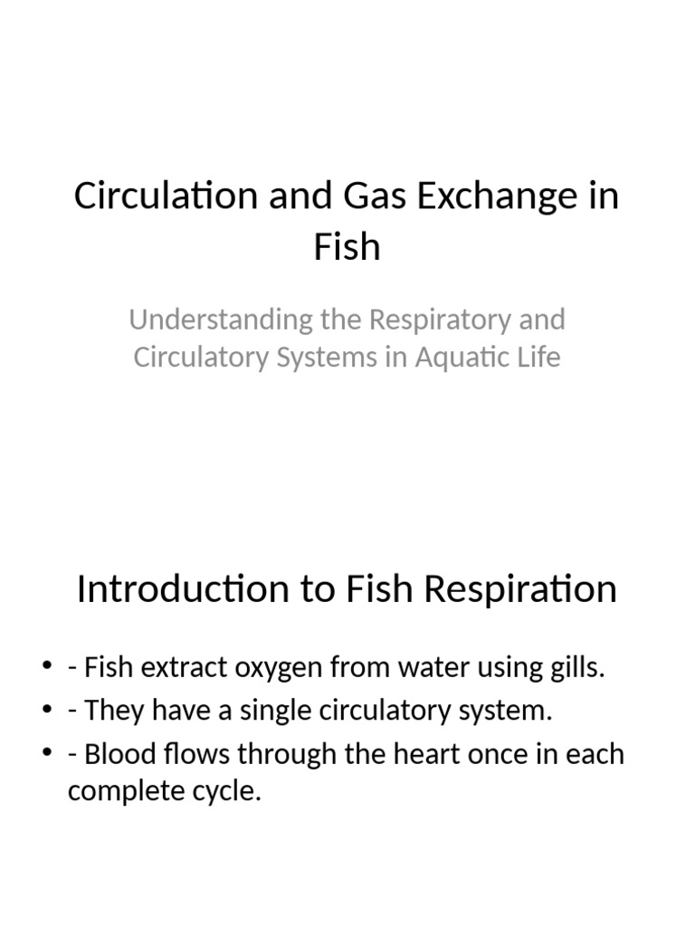 Fish Circulation and Gas Exchange Explained | PDF