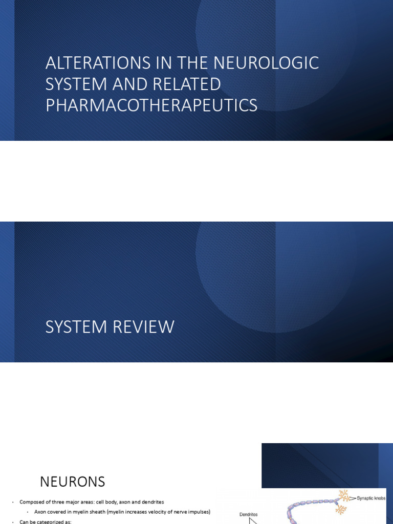 System Review | PDF | Neuron | Central Nervous System