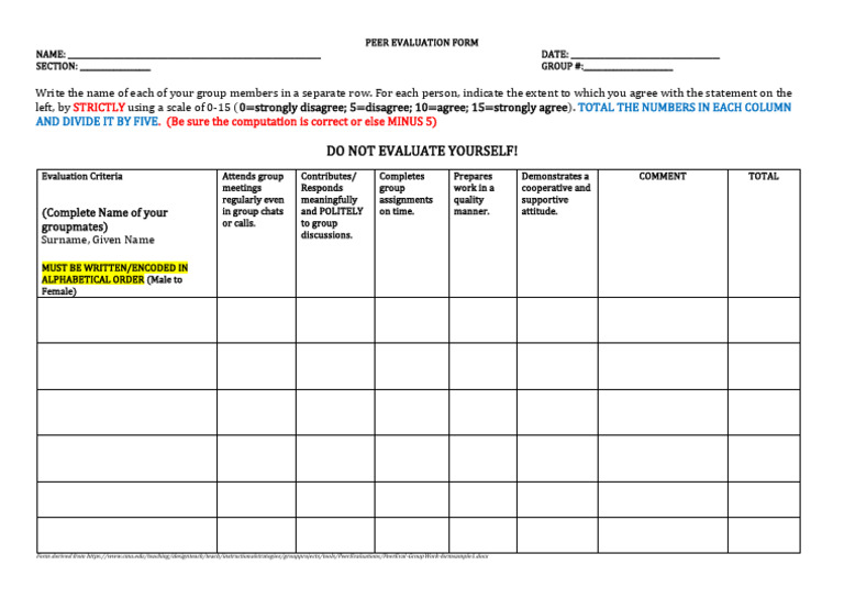 Peer Evaluation Form for Group Projects | PDF