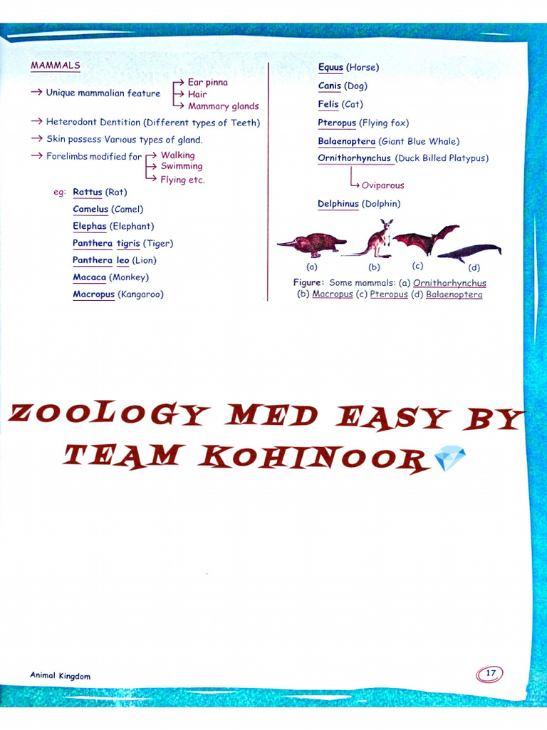 Final Vshsjejsj Cleaned No Watermarks | PDF