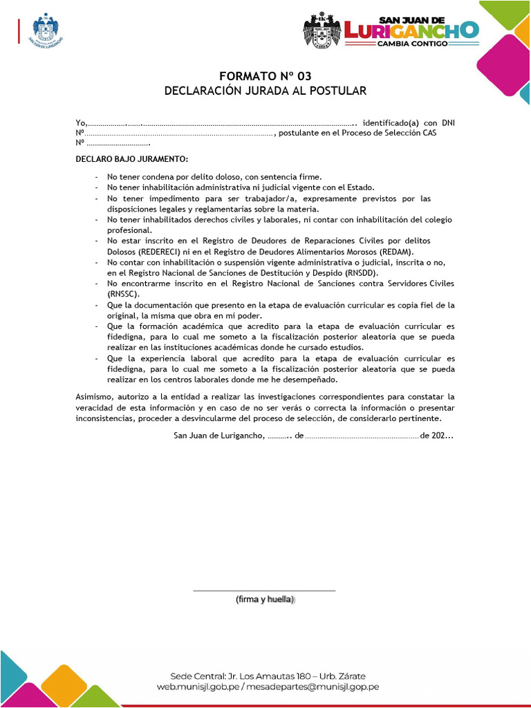 Formato #03 - Declaración Jurada Al Postular | PDF