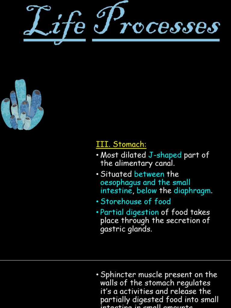 Chapter 1 Life Processes-1 | PDF